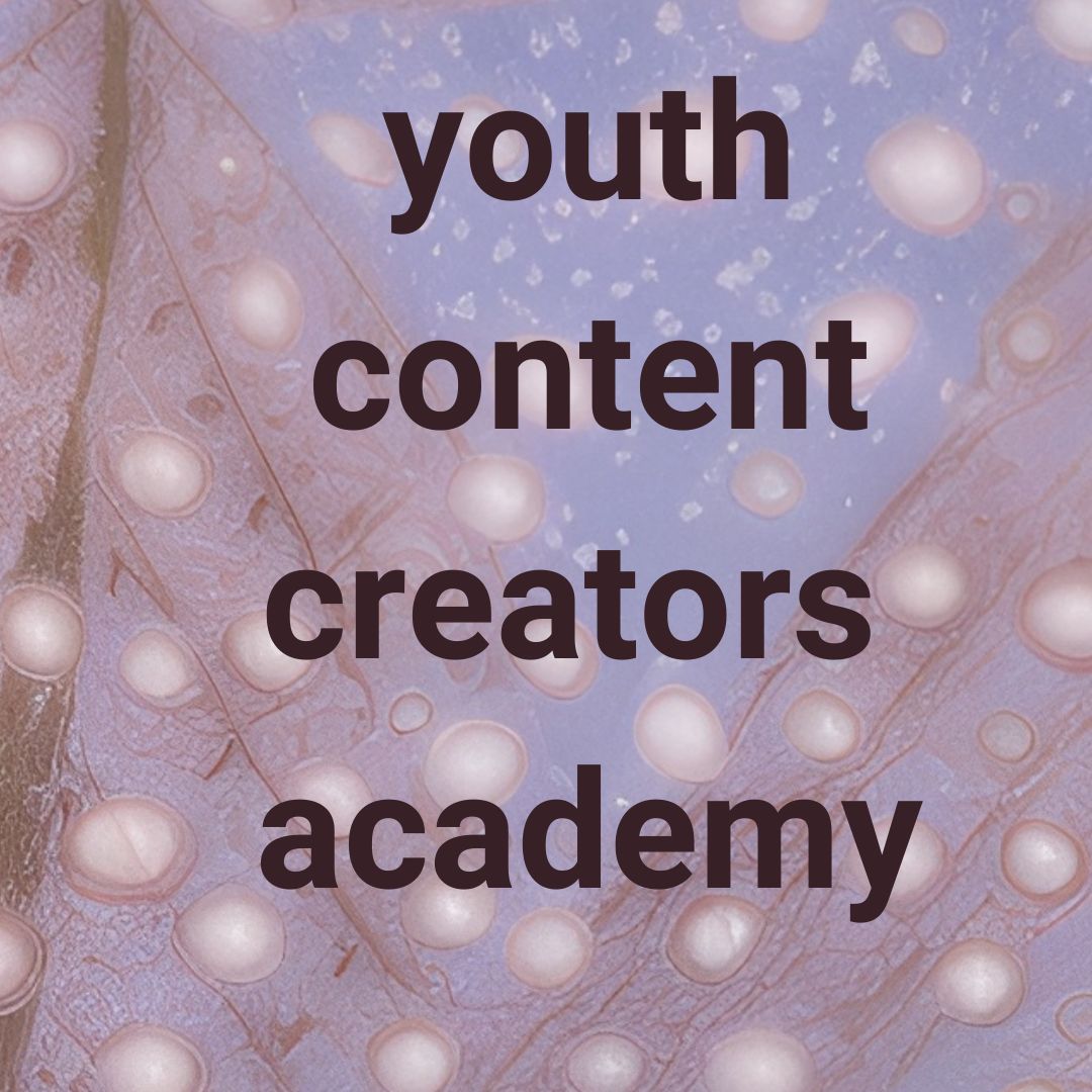 Youth Content Creators Academy